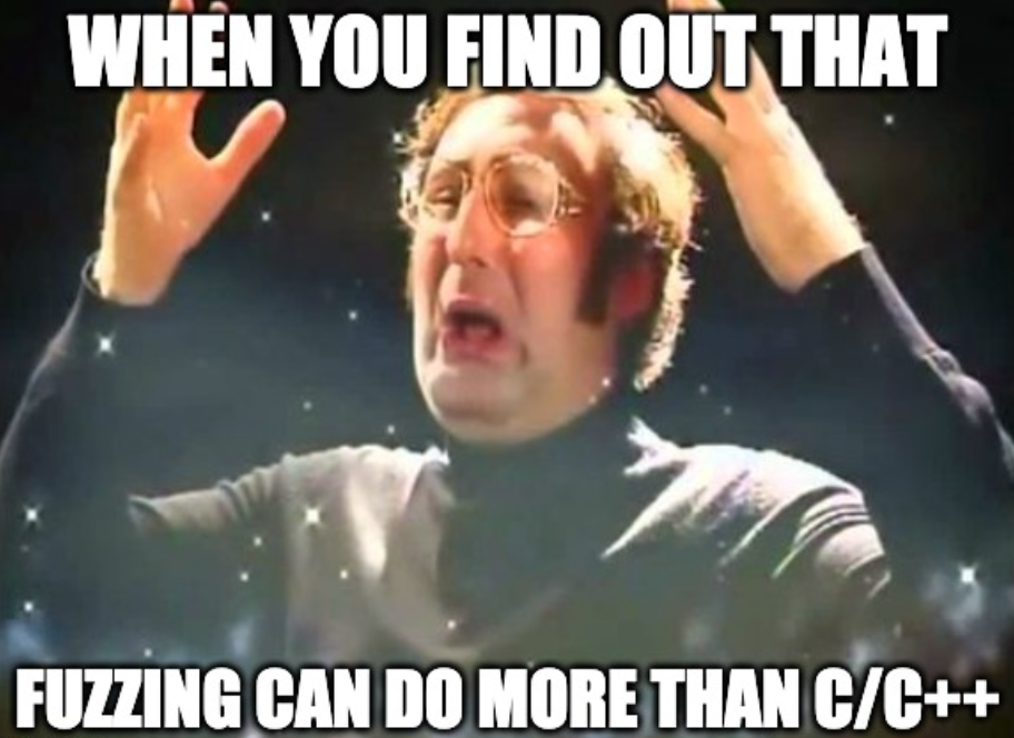 Why Fuzz Testing Can Do More Than C/C++