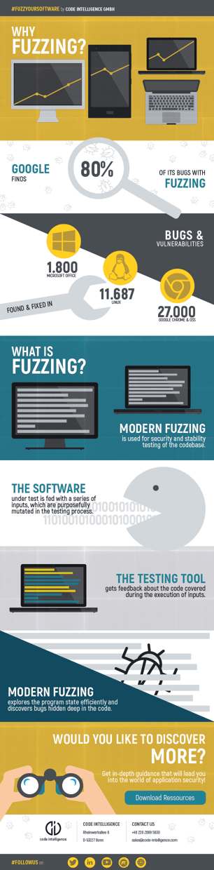 What Is Fuzzing? [Infographic]